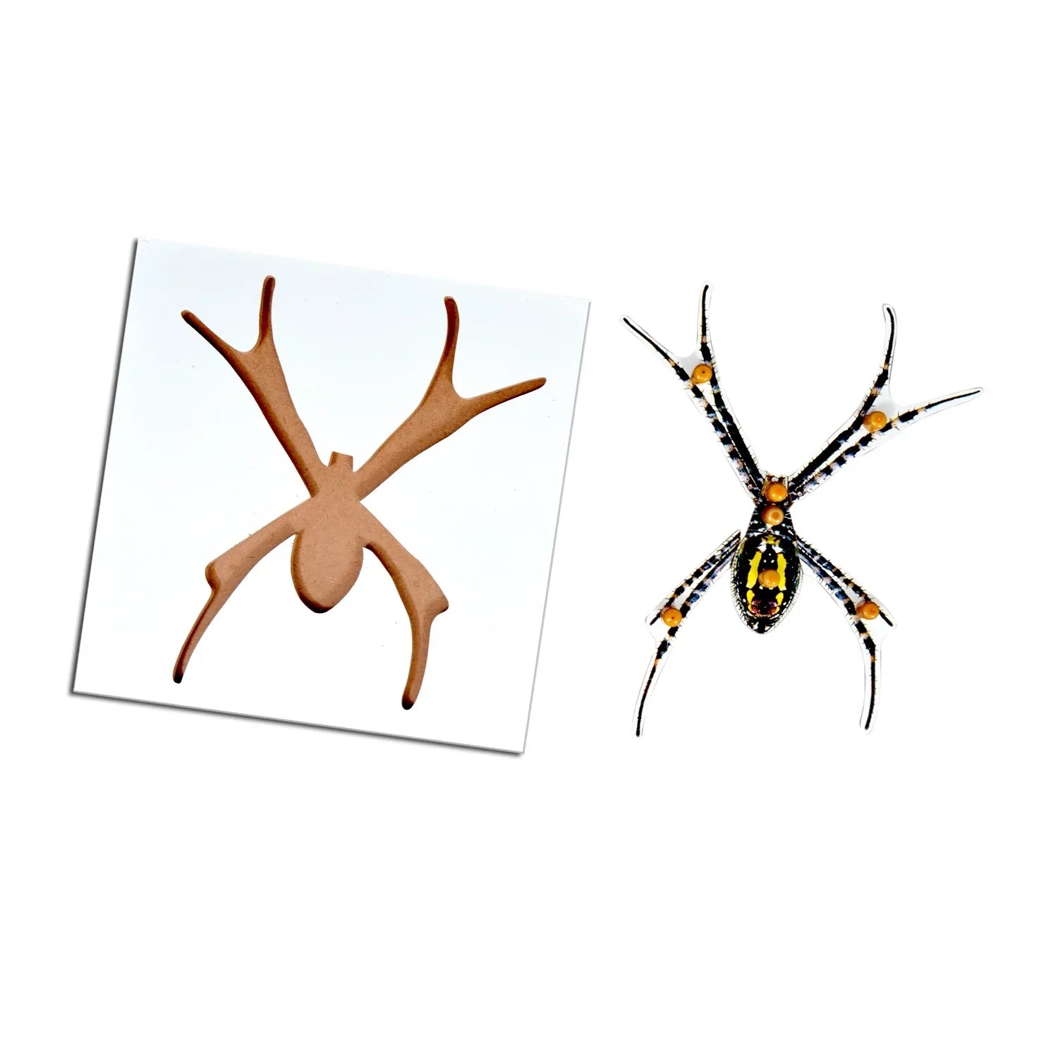 Spinning Webs of Learning: Exploring the Montessori Wooden Spider Puzz ...