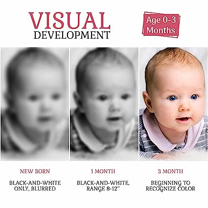 Buy Black and White Flash Cards for New Born Babies - SkilloToys.com
